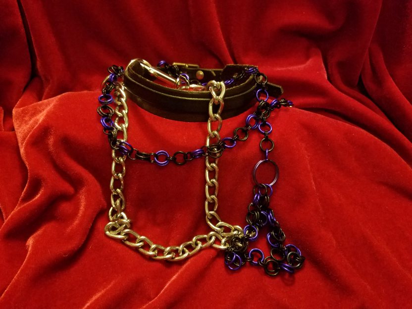 WHAT DOES BEING COLLARED MEAN? – Musings of a Chaotic Mind